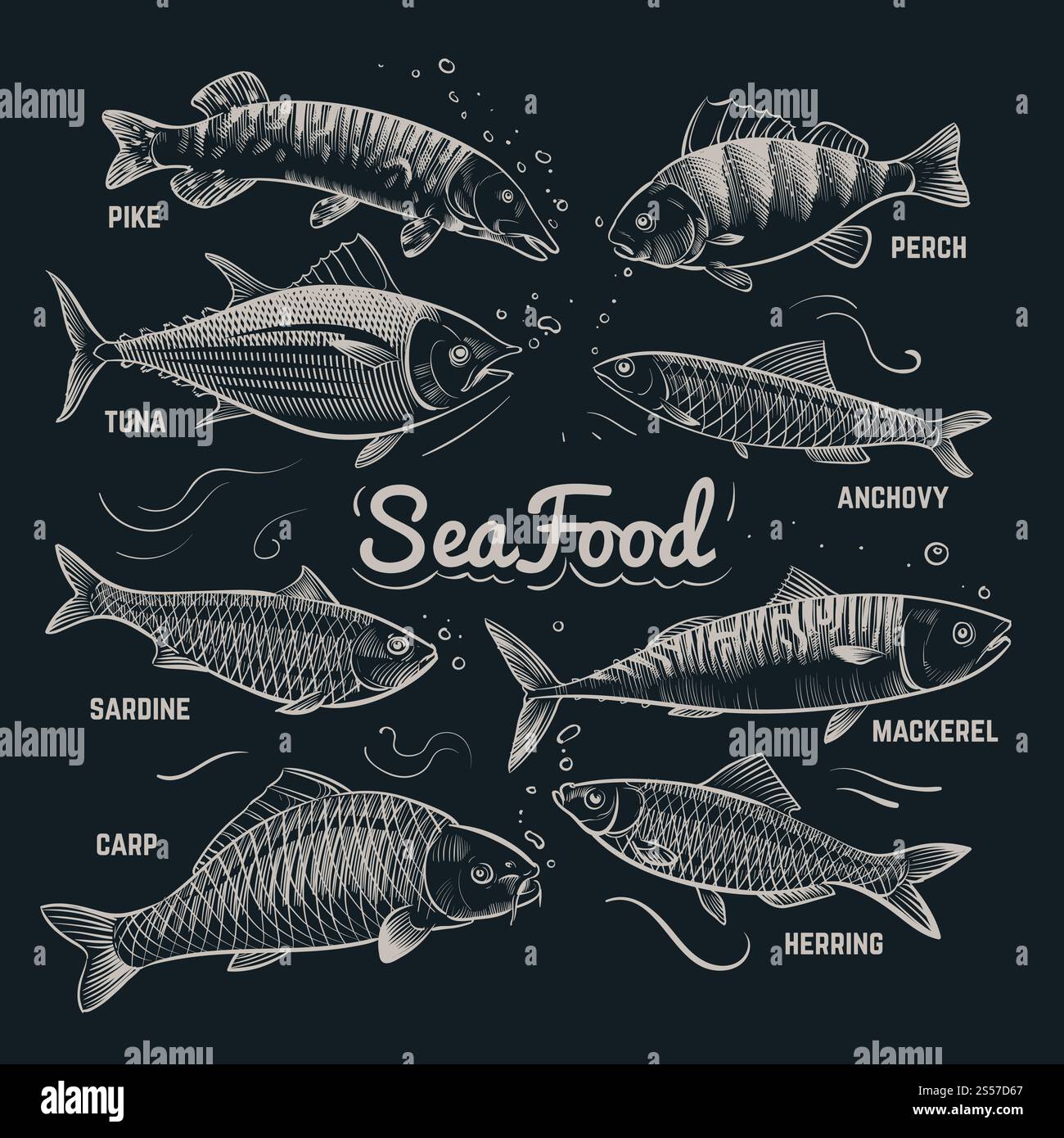 Sketch fishes seafood. Herring, trout, flounder, carp, tuna, sprat hand ...