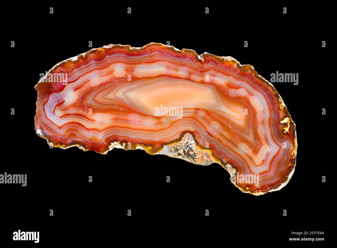 Slice of agate isolated on black background. Slice of agate on black ...