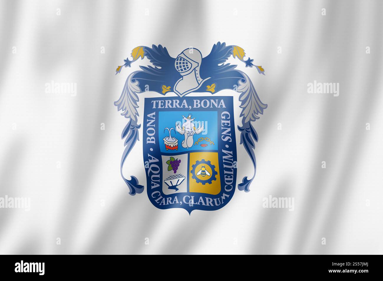 Aguascalientes state flag, Mexico waving banner collection. 3D ...