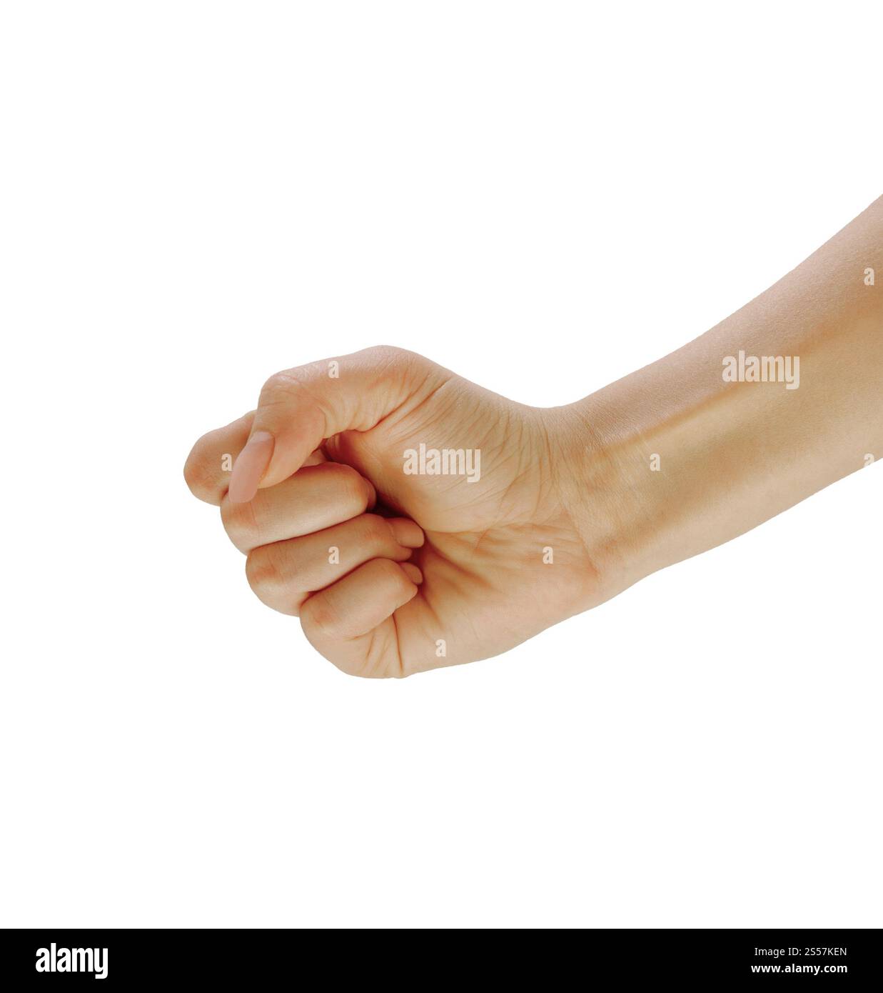 right female hand isolated on white background. right female hand Stock ...