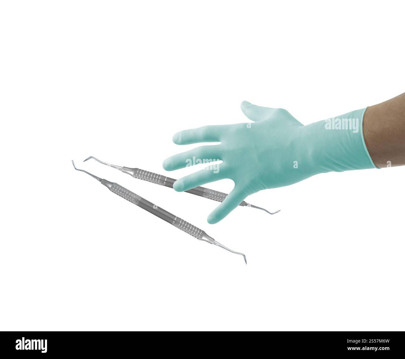 Doctor hand in sterile gloves isolated on white background. Doctor hand ...