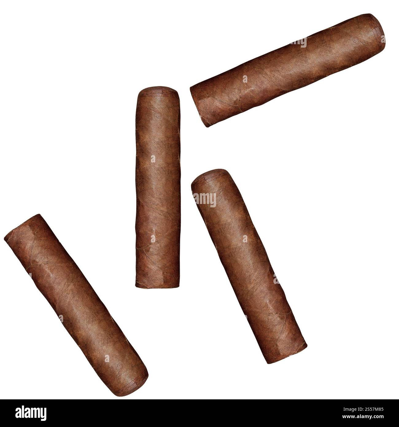 small cigars isolated on white background. small cigars isolated on ...