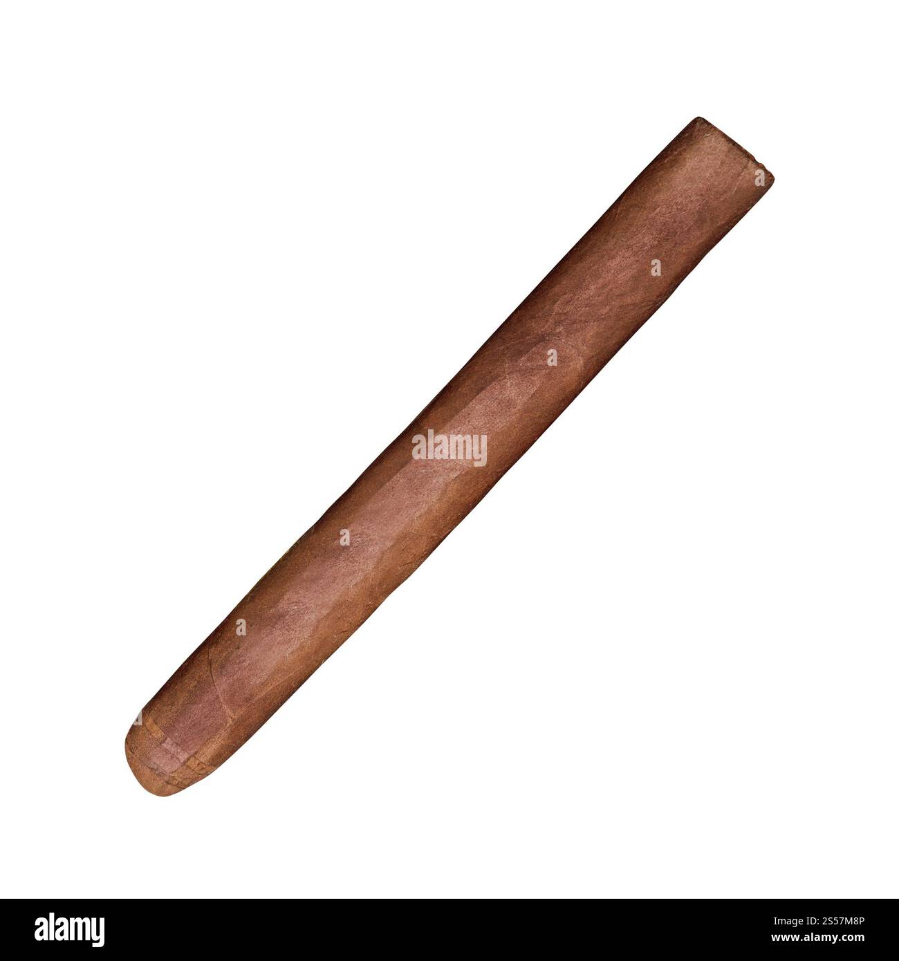 long cigar isolated on white background. long cigar Stock Photo - Alamy
