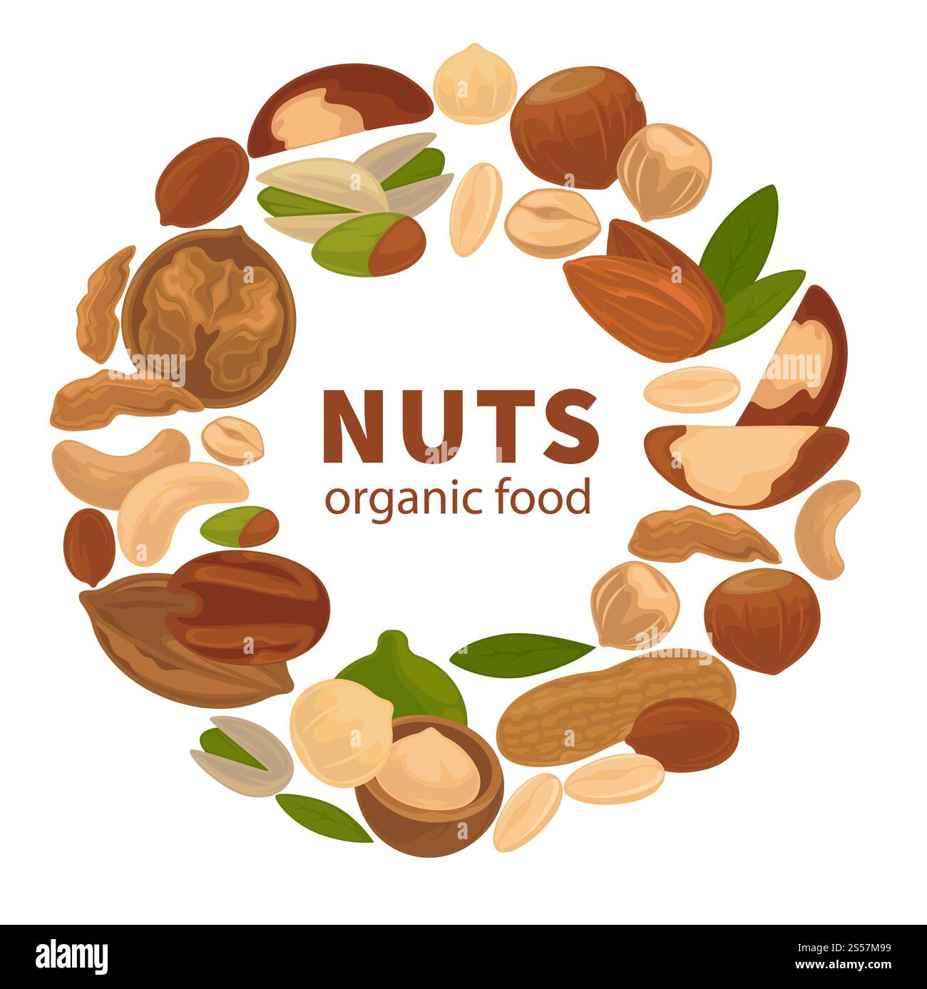 Delicious nutritious nuts advertisement banner with italic sign inside ...