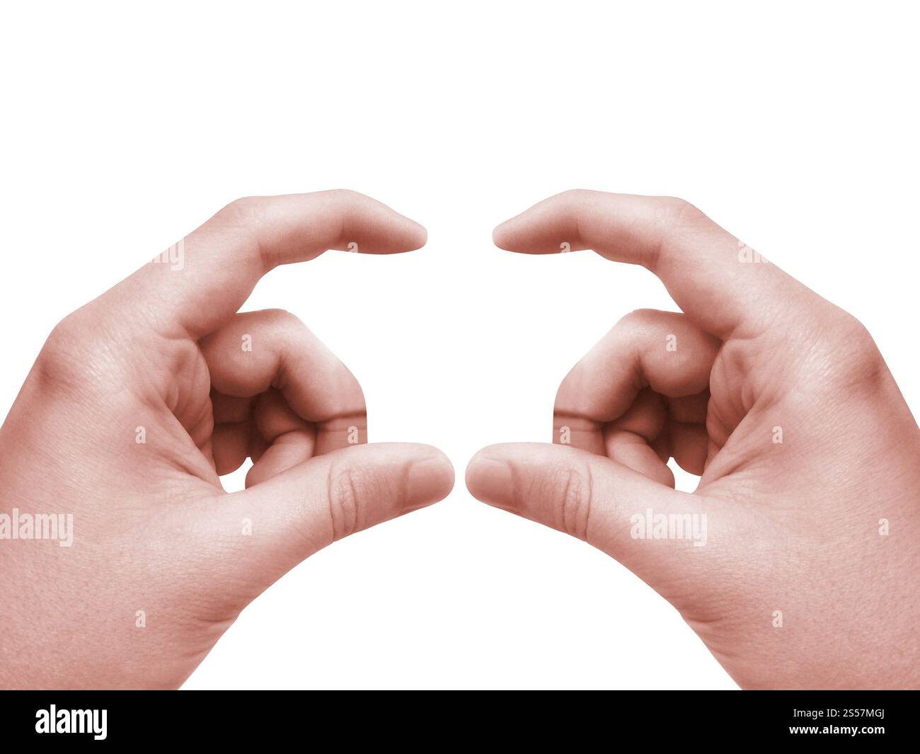 teen hands to hold paper card isolated on white background. teen hands ...