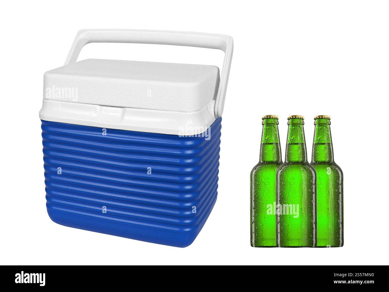 Bottles of beer and a refrigerator isolated on white background ...