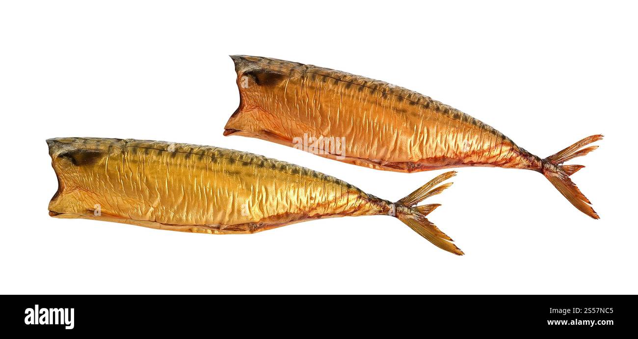 Smoked fish without the head isolated on white background. Smoked fish ...