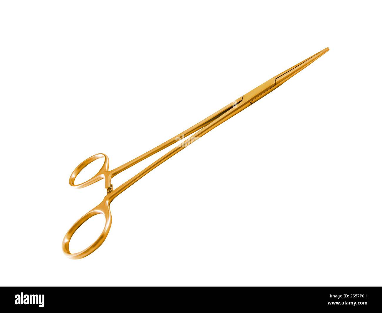 golden surgical medical clamp golden over white background. golden ...