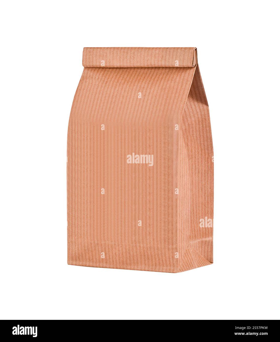 recycle brown paper bag isolated on white background. recycle brown ...