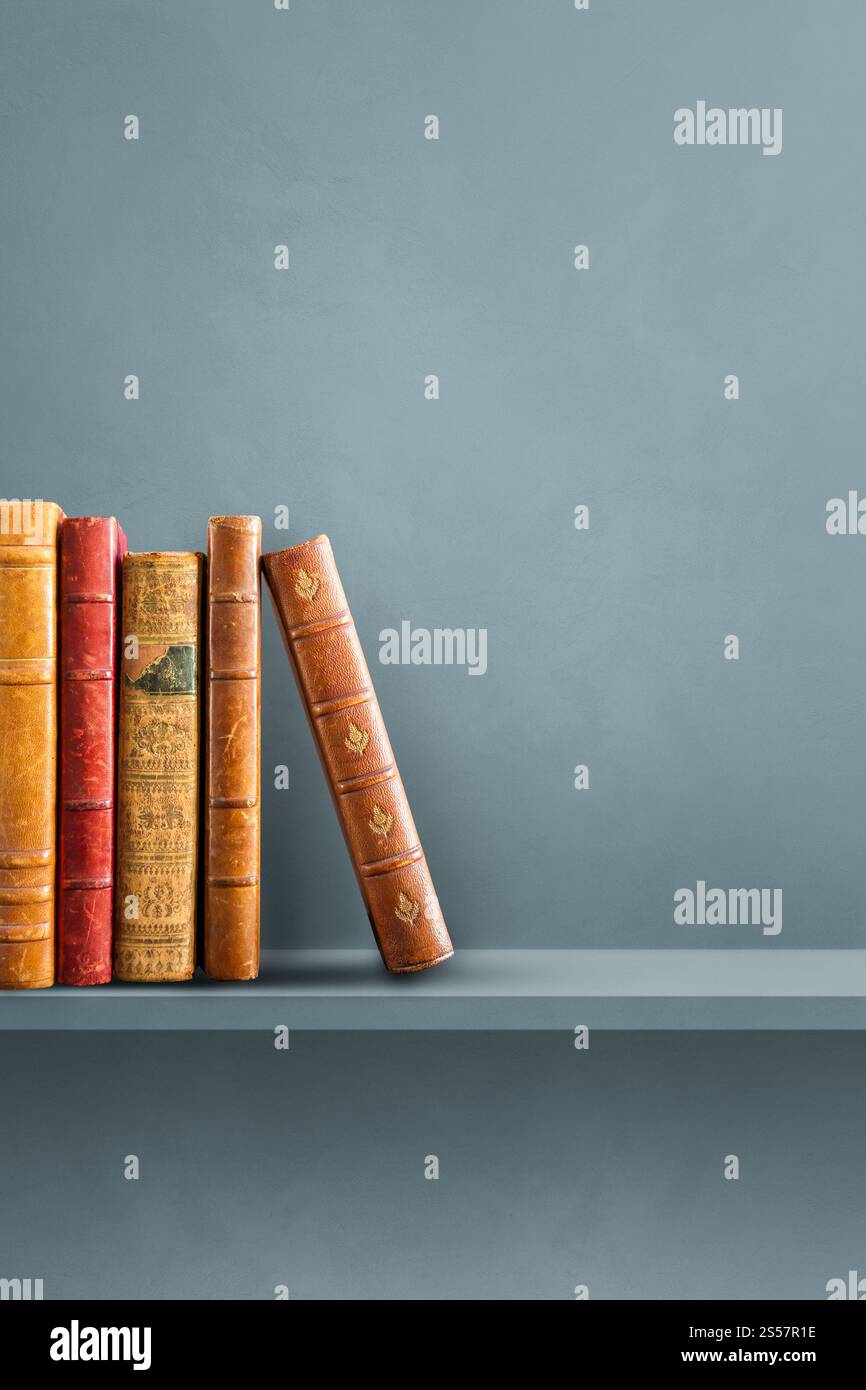 Row of old books on grey shelf. Vertical background scene. Row of old ...