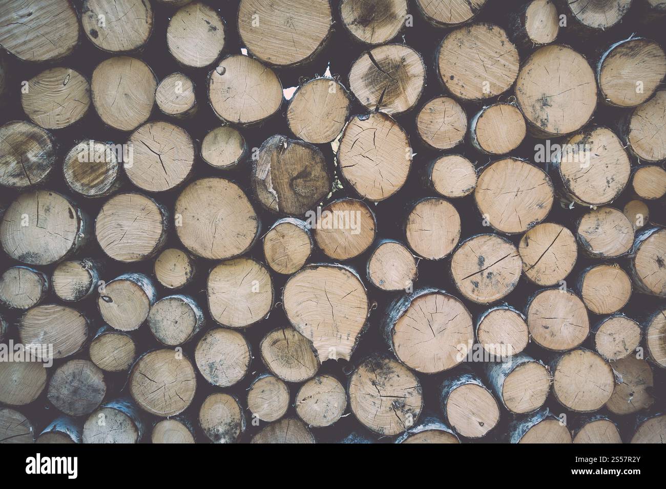 Stack of tree trunks. Texture background wallpaper. Stack of tree ...