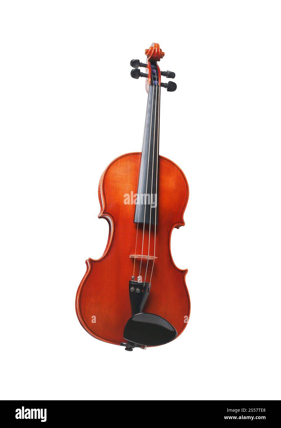 Violin front view isolated on white background. Violin front view ...