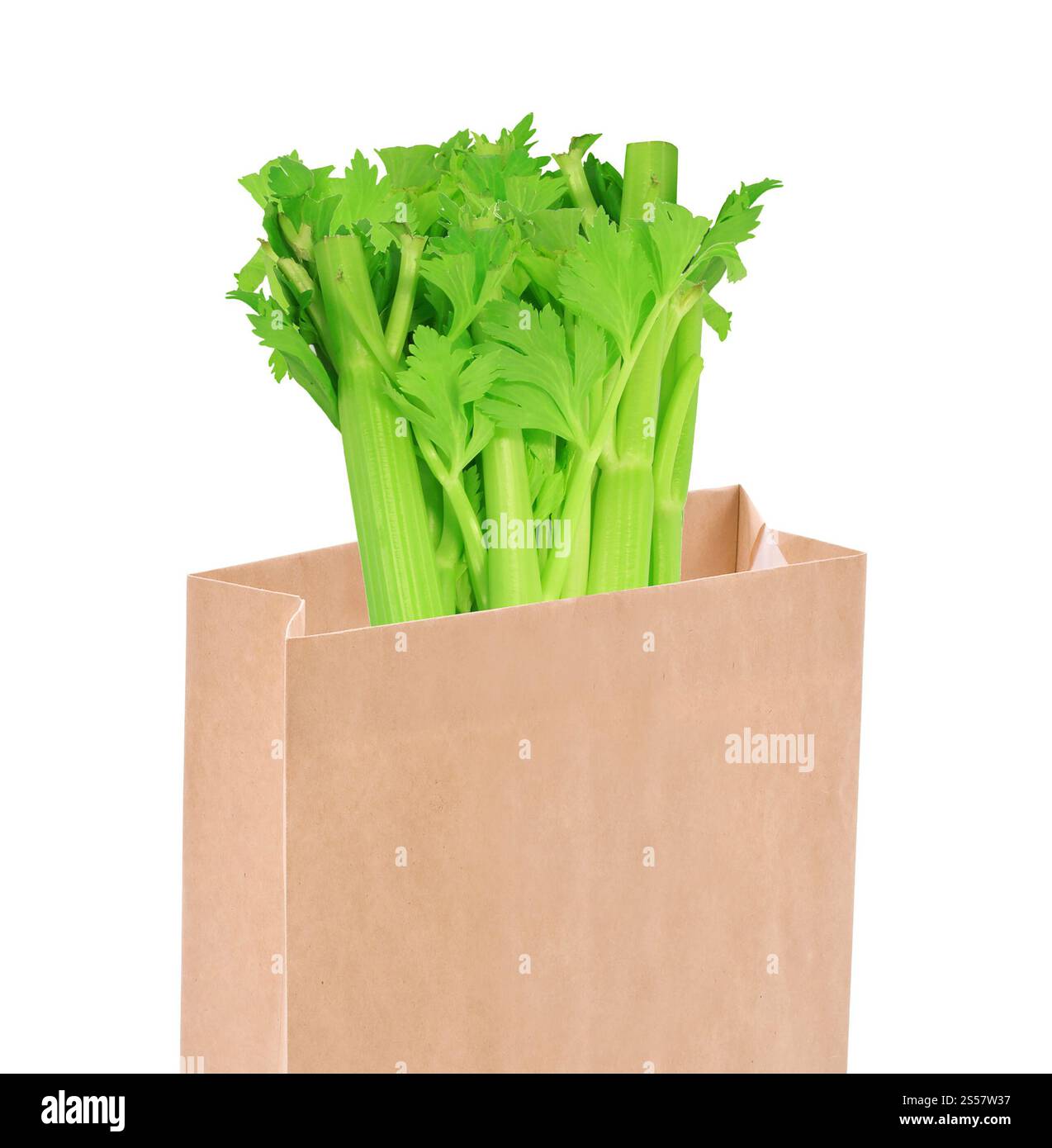 Whole celery in a bag isolated on white background. Whole celery in a ...