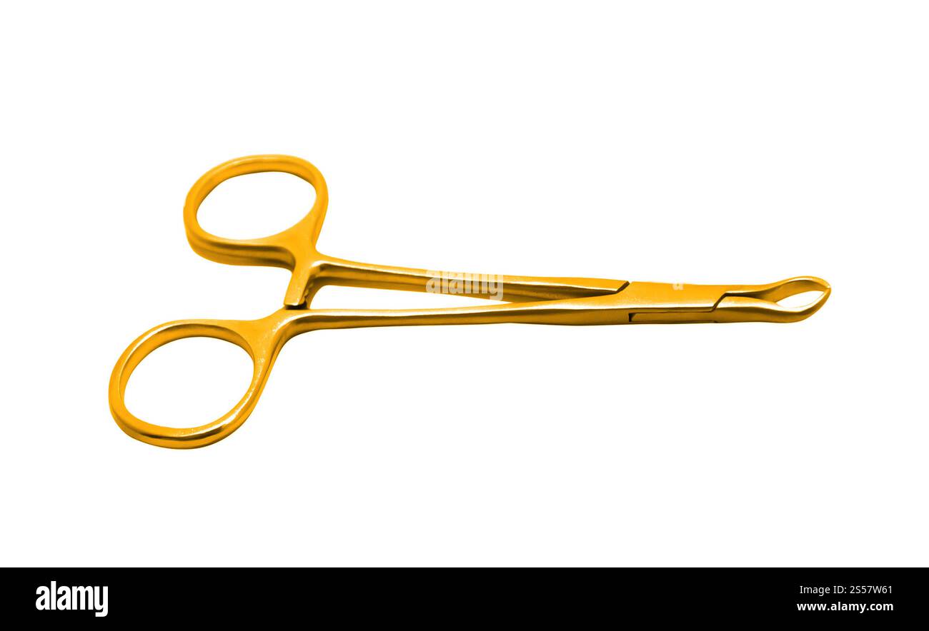 surgical clamps on a white background. surgical clamps Stock Photo - Alamy