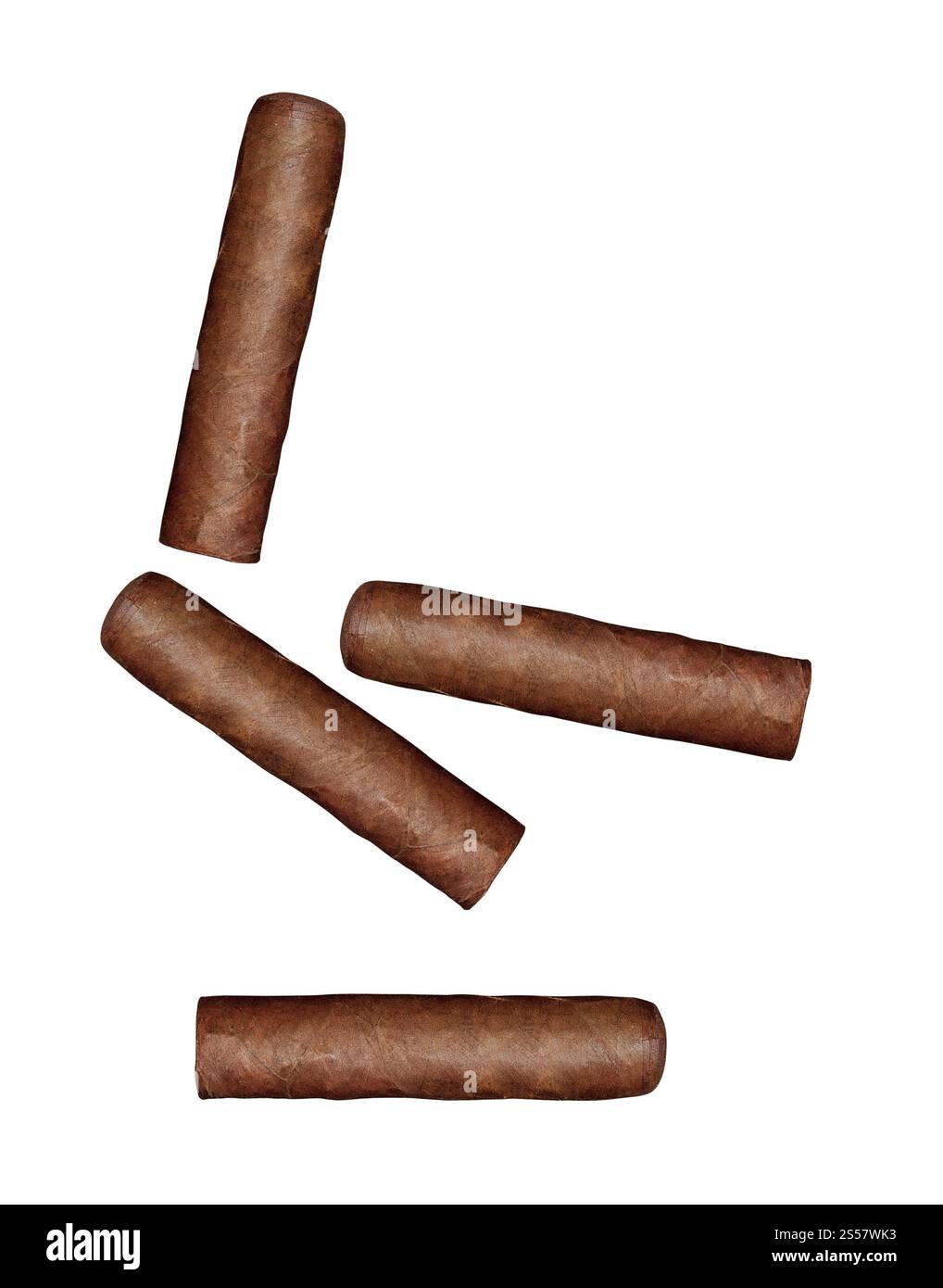 small cigars isolated on white background. small cigars isolated Stock ...
