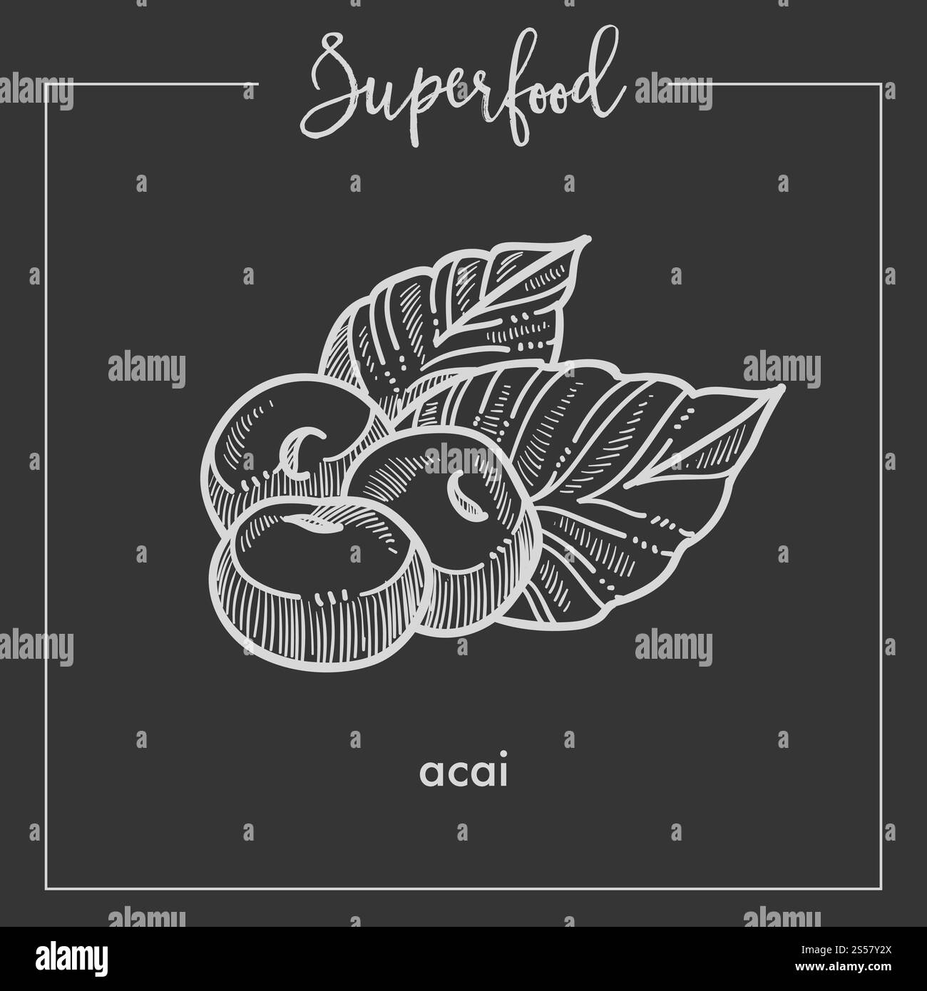 Acai juice Black and White Stock Photos & Images - Alamy