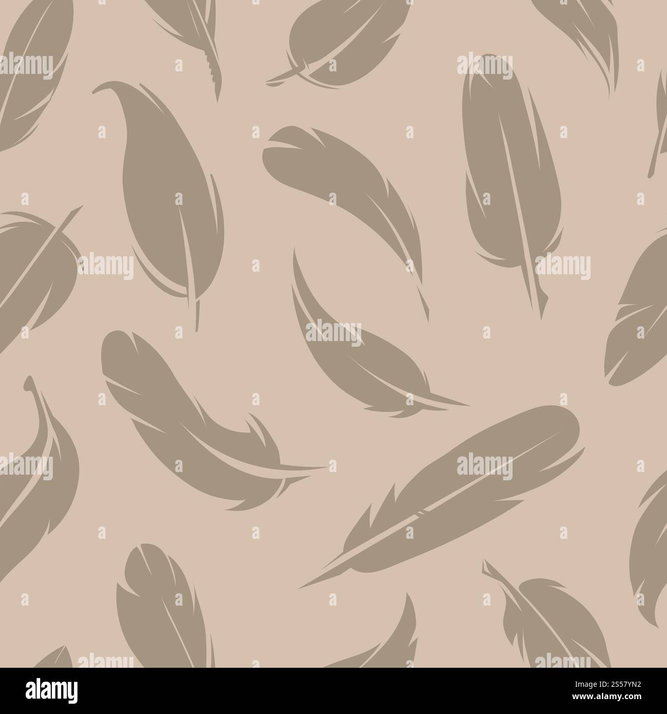 Seamless pattern of various feathers. Monochrome pictures. Vector ...