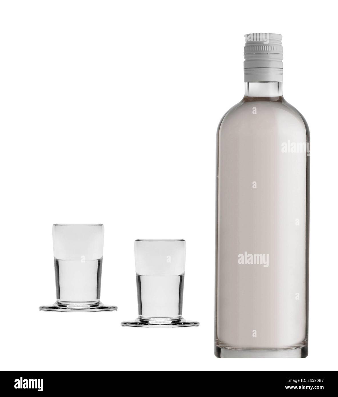 Bottle of vodka and shots isolated on white background. Bottle of vodka ...