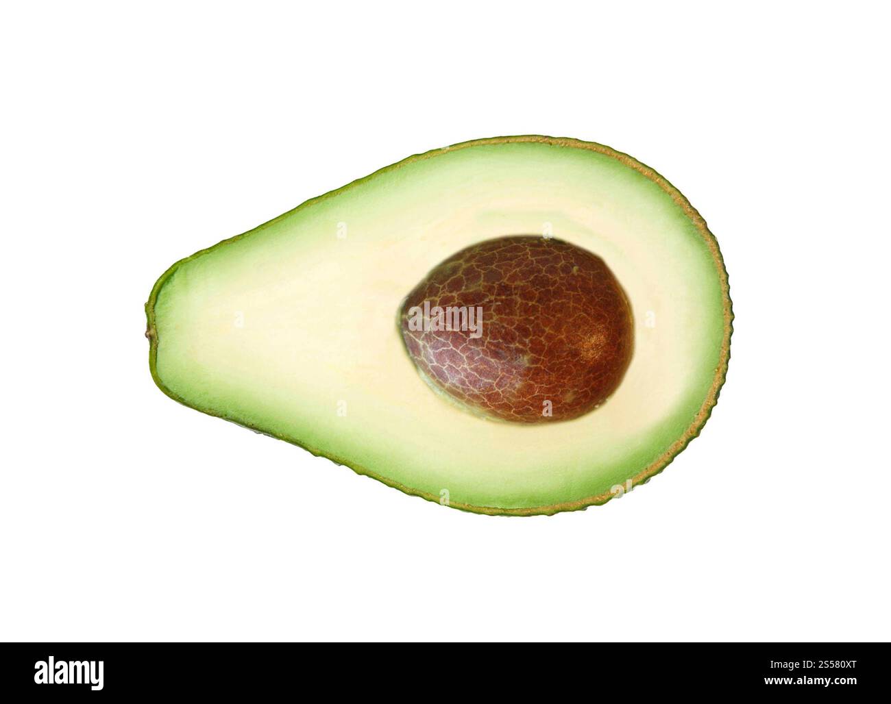 Half avocado over white Cut Out Stock Images & Pictures - Alamy