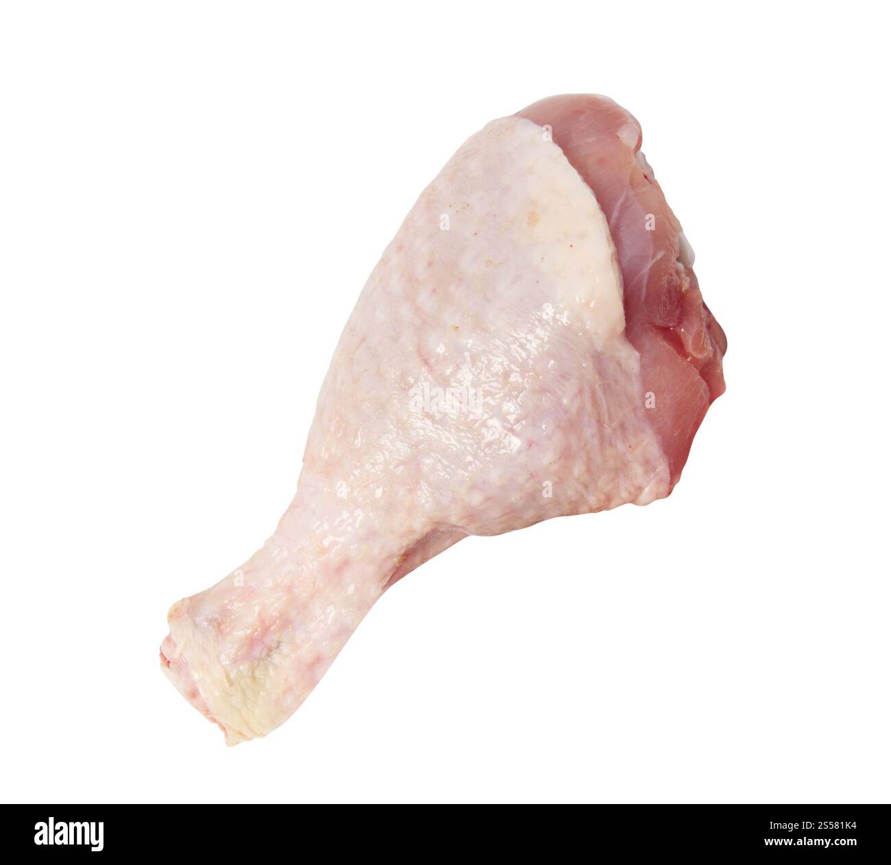 chicken drumstick isolated on white background. chicken drumstick on ...