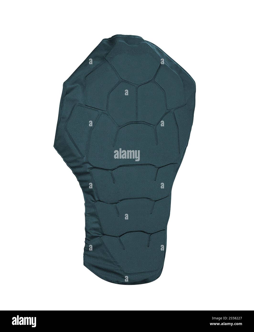 Riot shield isolated Cut Out Stock Images & Pictures - Alamy