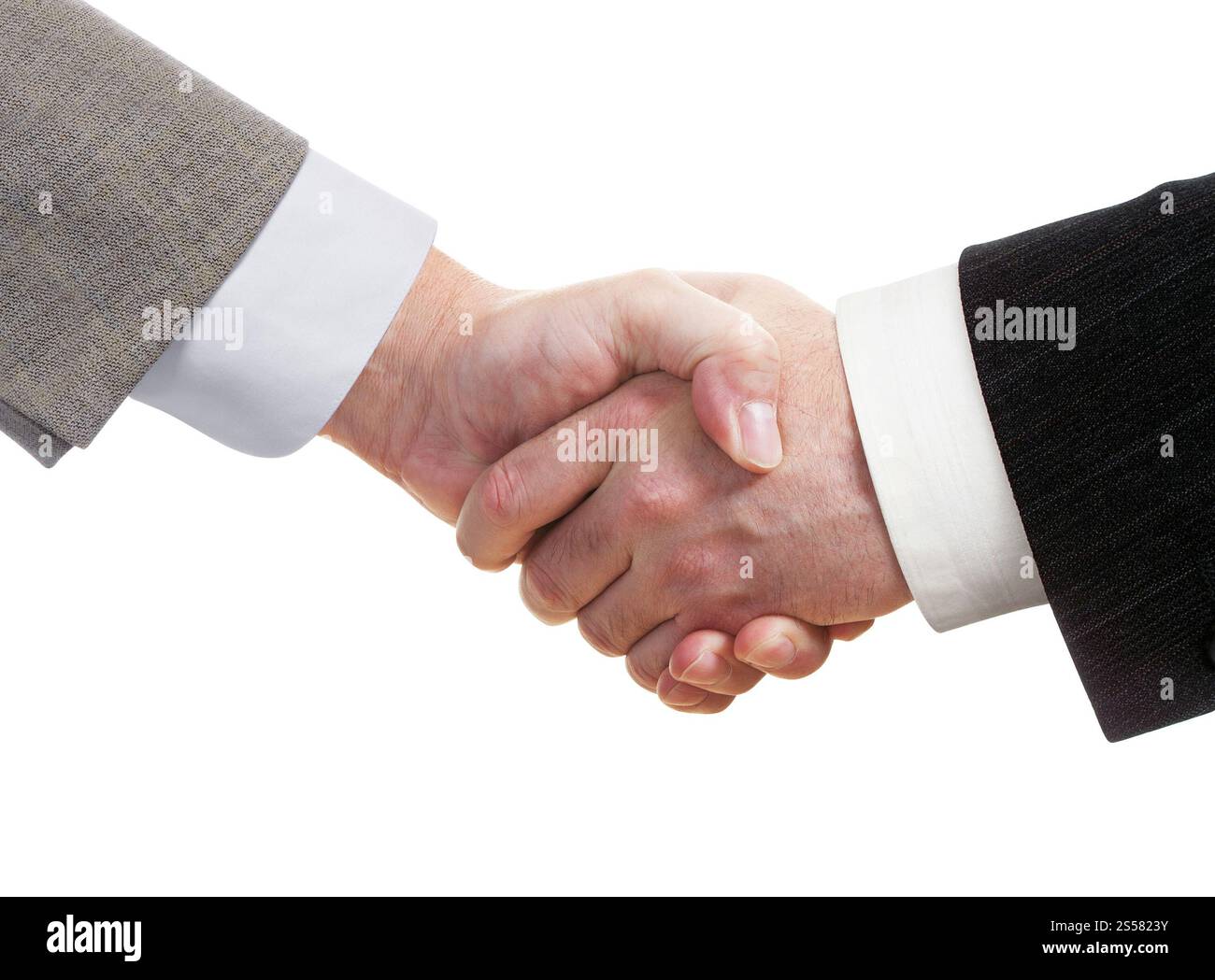 Business handshake isolated on white background. Business handshake ...