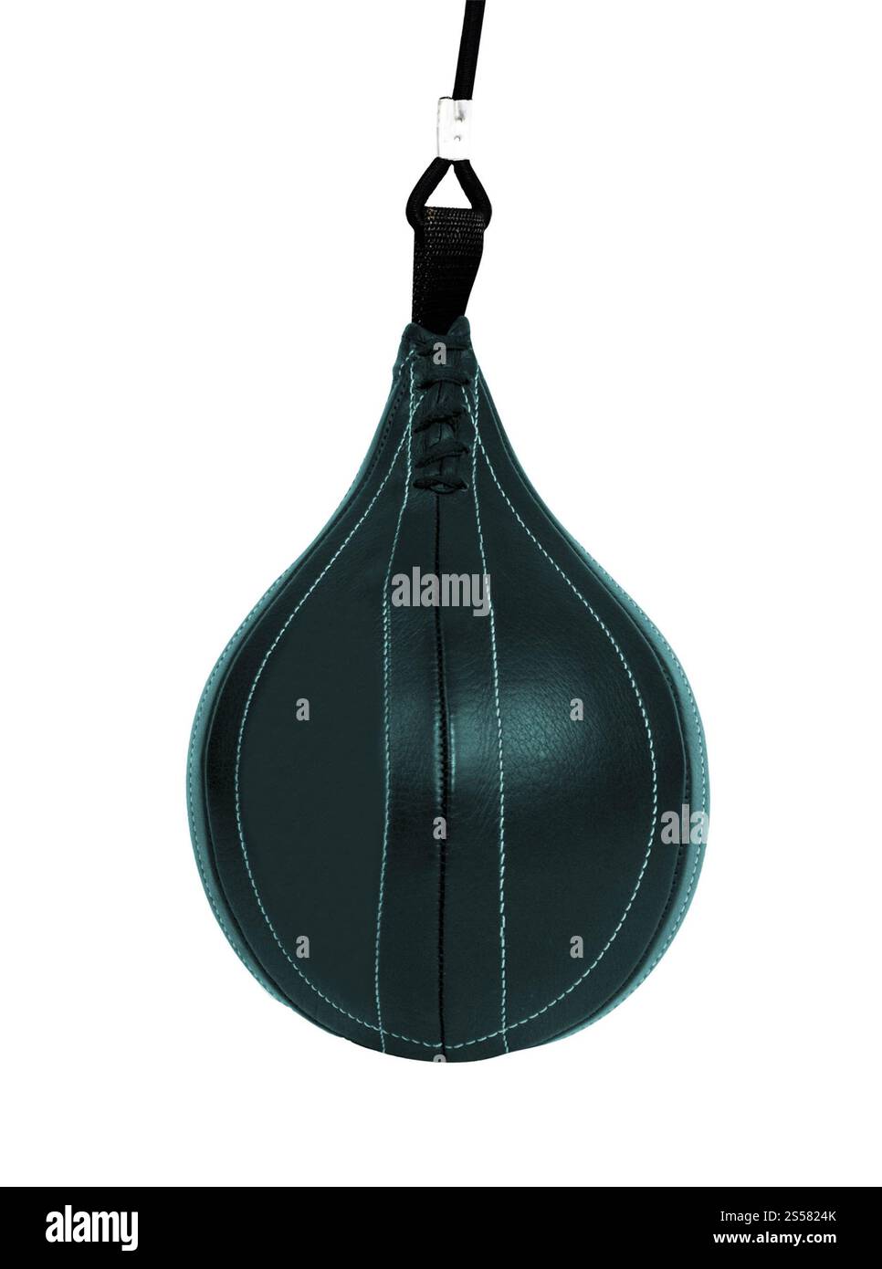 Boxing pear hanging isolated on white background. Boxing pear hanging ...