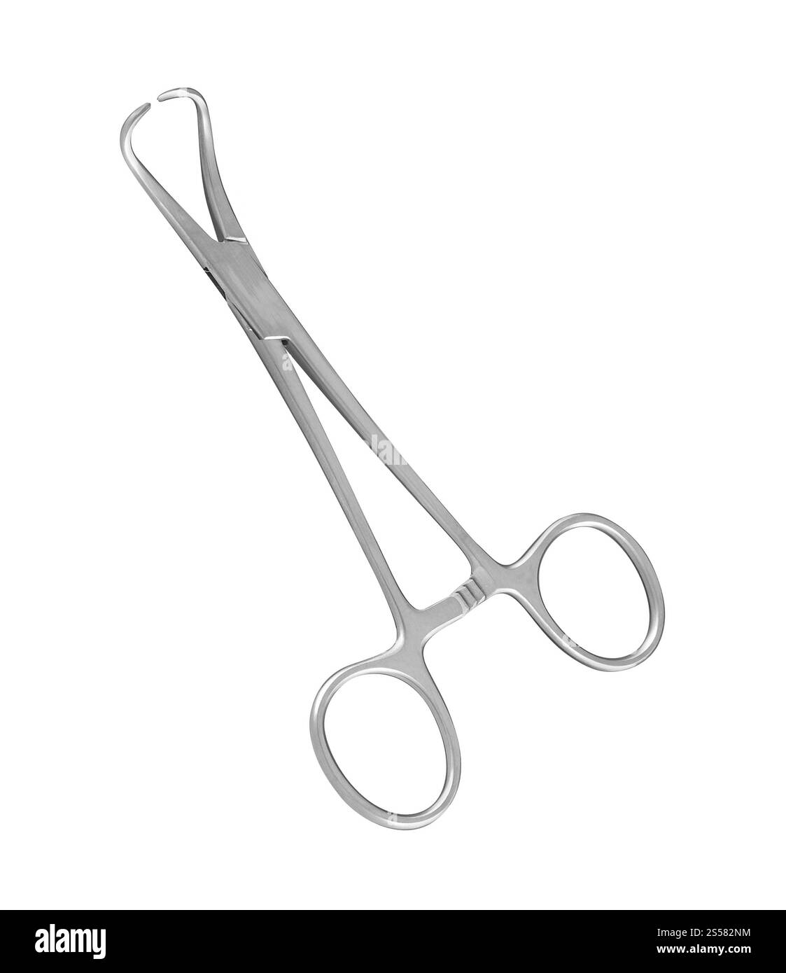 surgical clip isolated on white background. surgical clip isolated ...