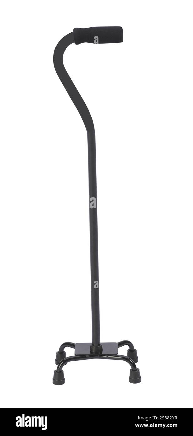 Walking stick isolated on white background. Walking stick isolated ...