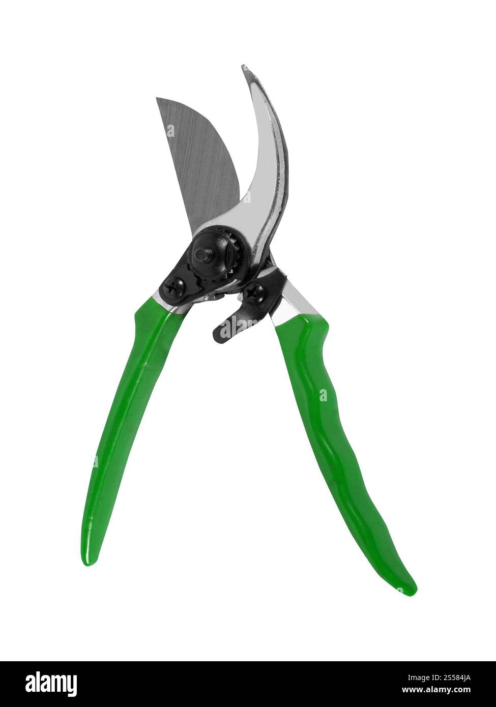 Gardening: single pruner, isolated on white background Stock Photo - Alamy