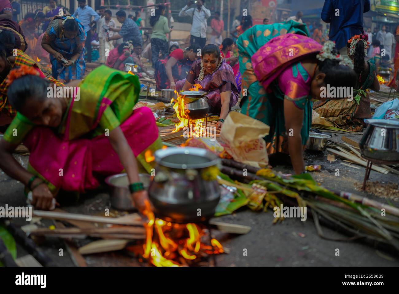 Tamil women cook special food to celebrate the harvest festival of ...