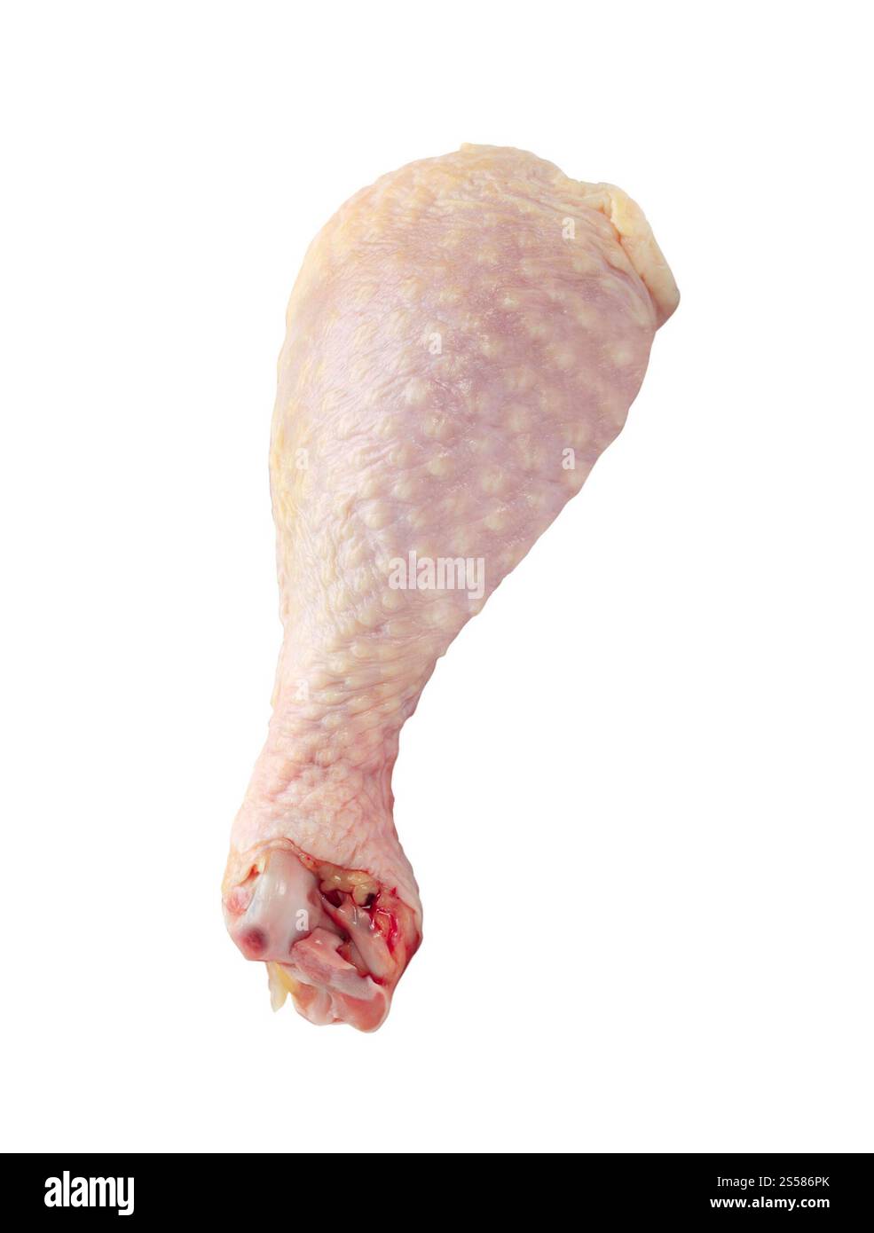 A leg of chicken Cut Out Stock Images & Pictures - Alamy