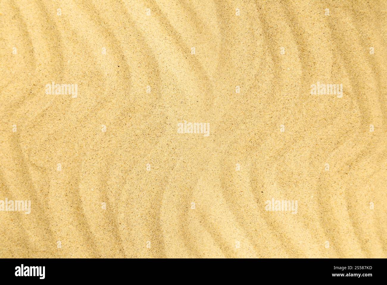 Beautiful sand beach in summer hi-res stock photography and images - Alamy