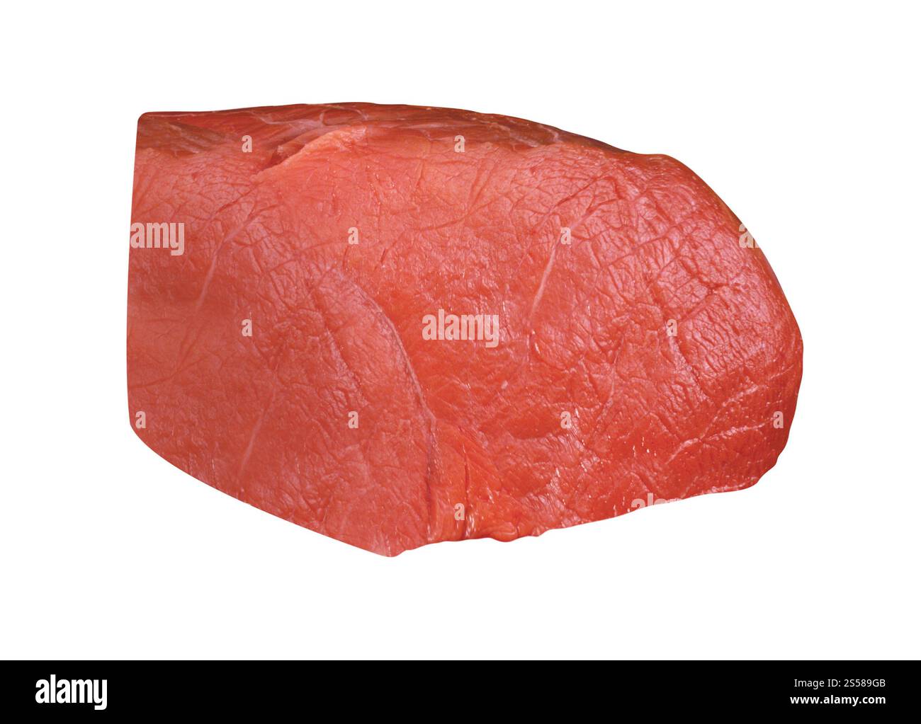 White bullock Cut Out Stock Images & Pictures - Alamy