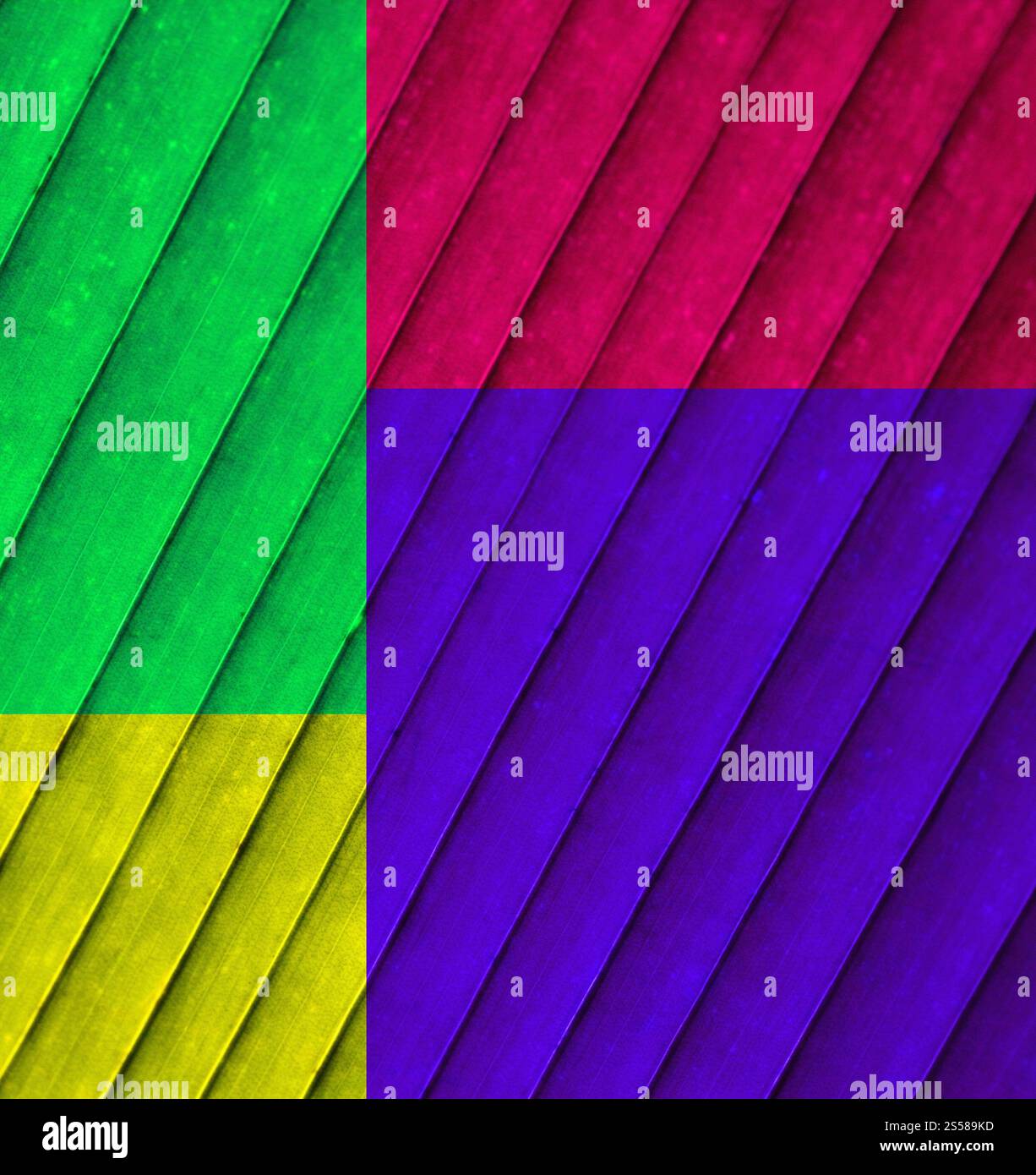 Board desk colour wood hi-res stock photography and images - Alamy