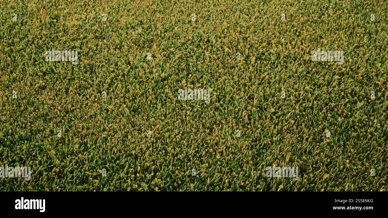 Isolated landscapes hi-res stock photography and images - Alamy