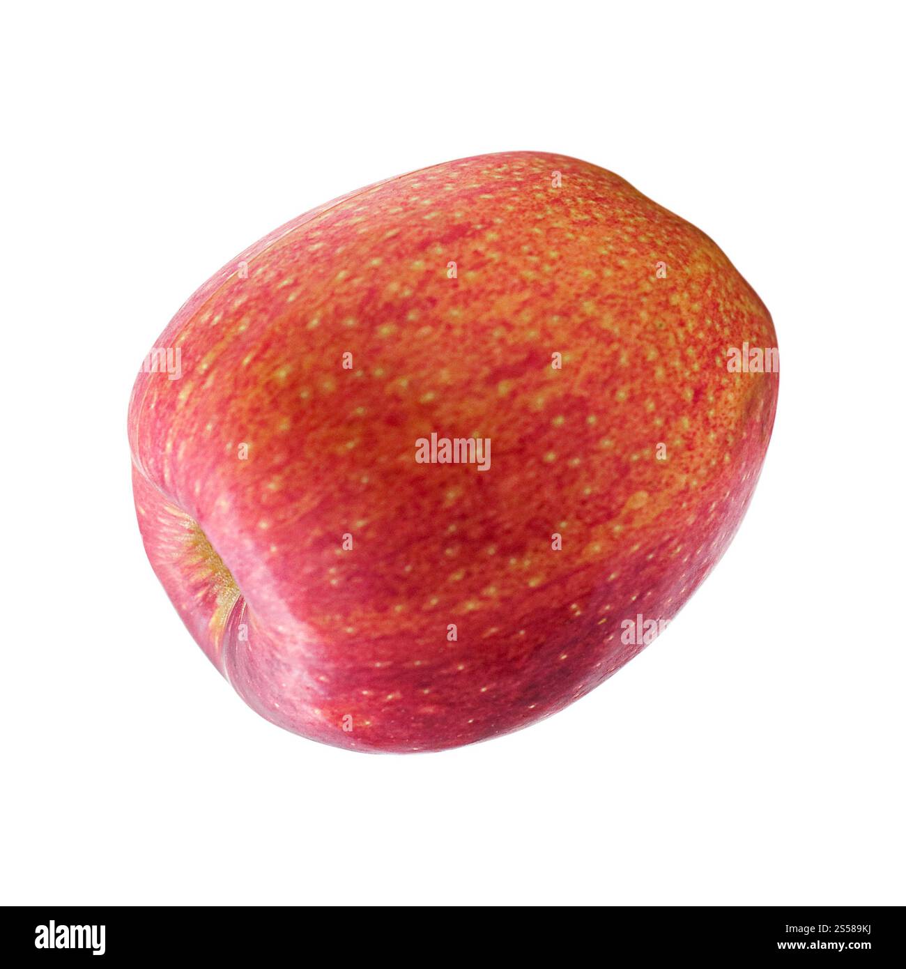 Red fresh apple isolated hi-res stock photography and images - Alamy