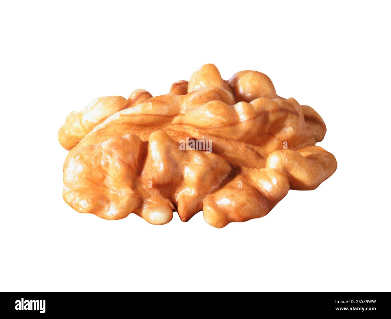 walnut kernel isolated on the white background Stock Photo - Alamy