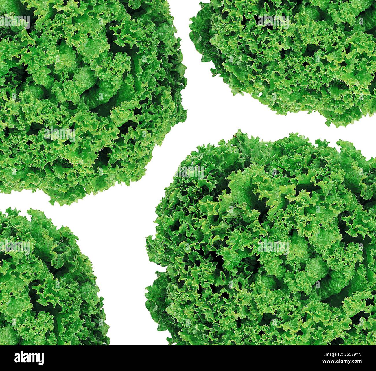 Salat hi-res stock photography and images - Alamy
