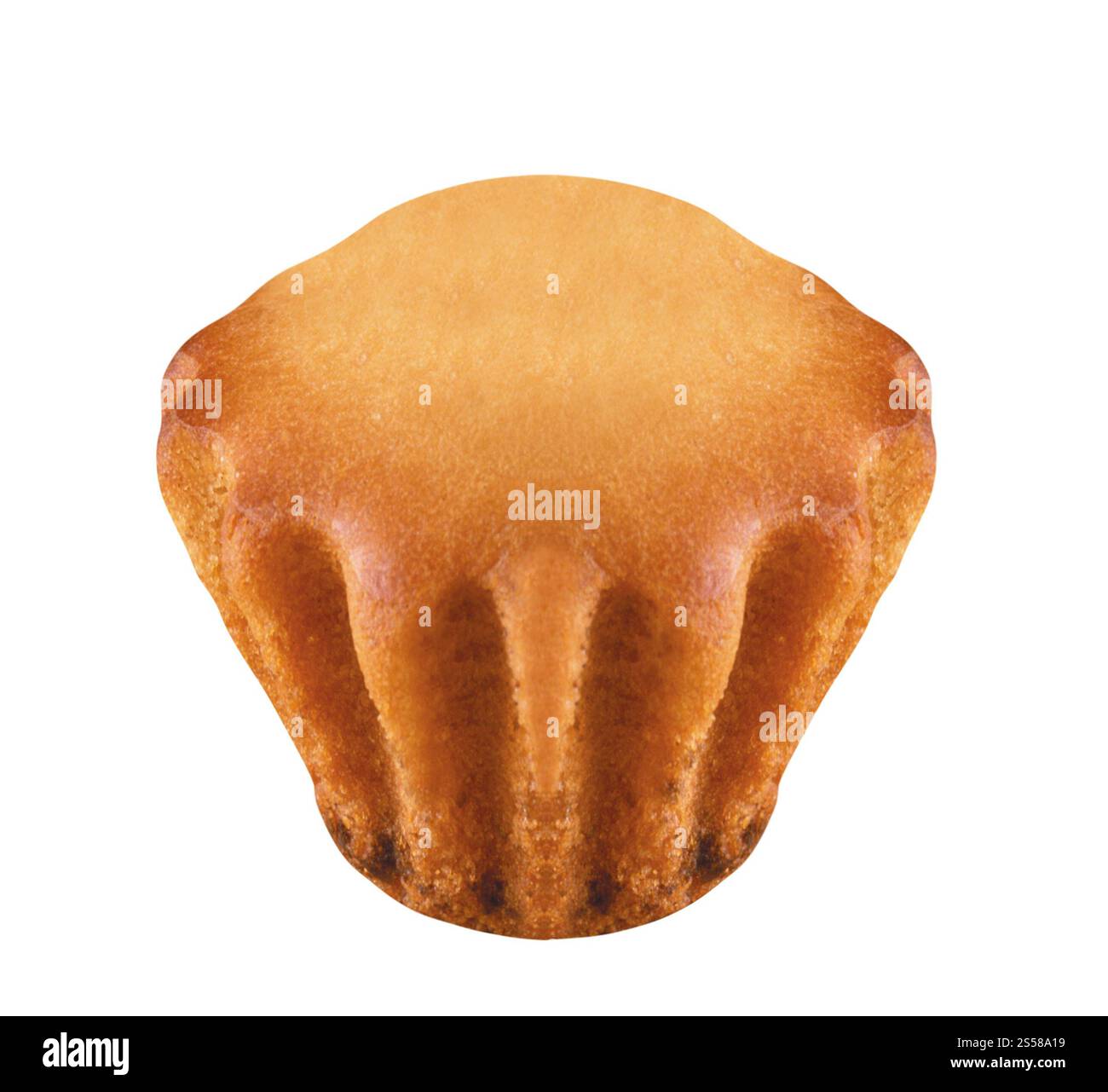 fresh muffin isolated on white background Stock Photo - Alamy