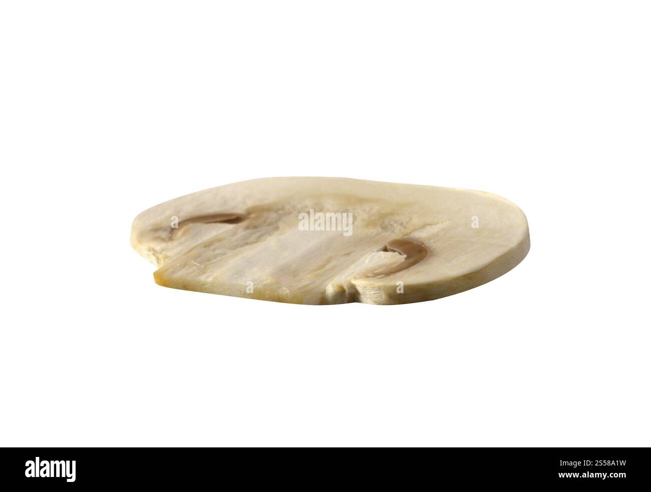 Mushroom seasonal Cut Out Stock Images & Pictures - Alamy