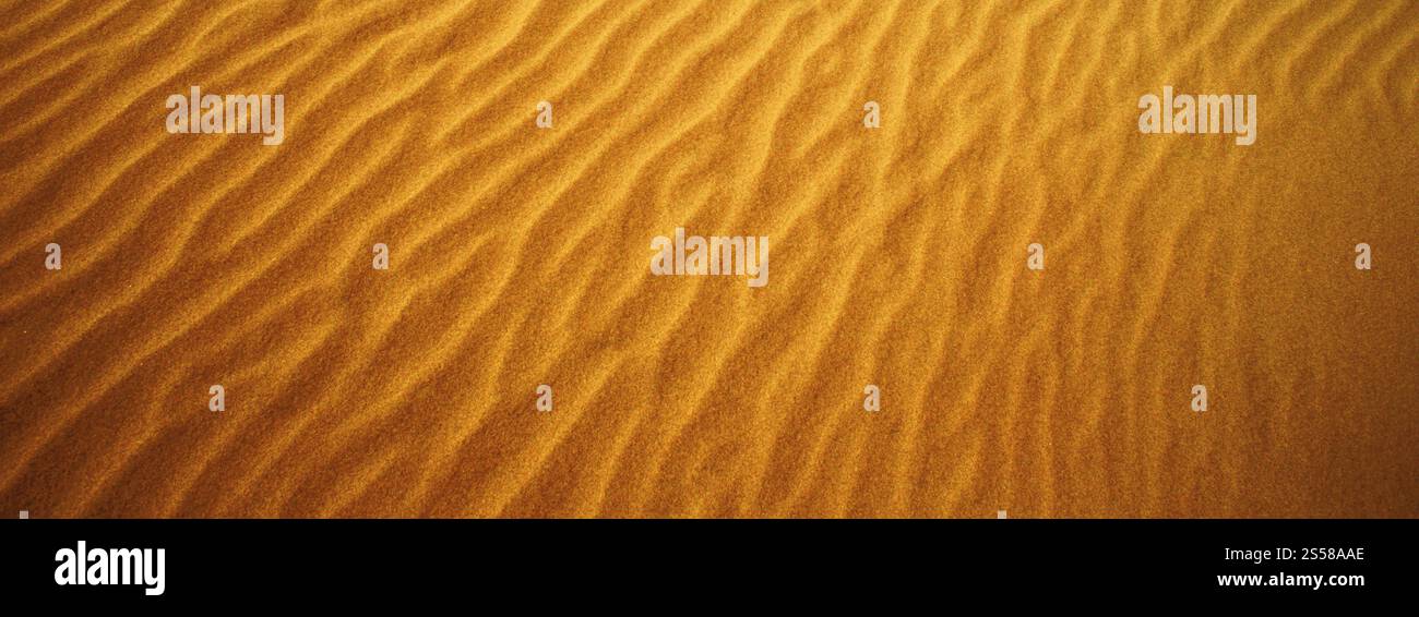 sand texture background Stock Photo - Alamy