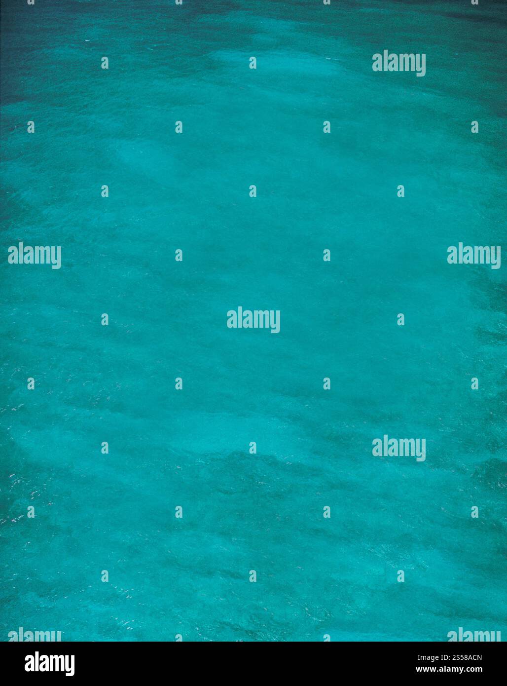 Pretty green background hi-res stock photography and images - Alamy