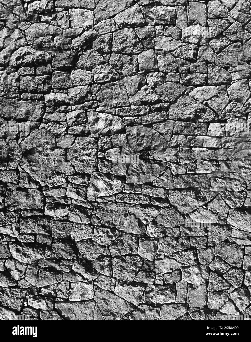 Surface close up Black and White Stock Photos & Images - Alamy