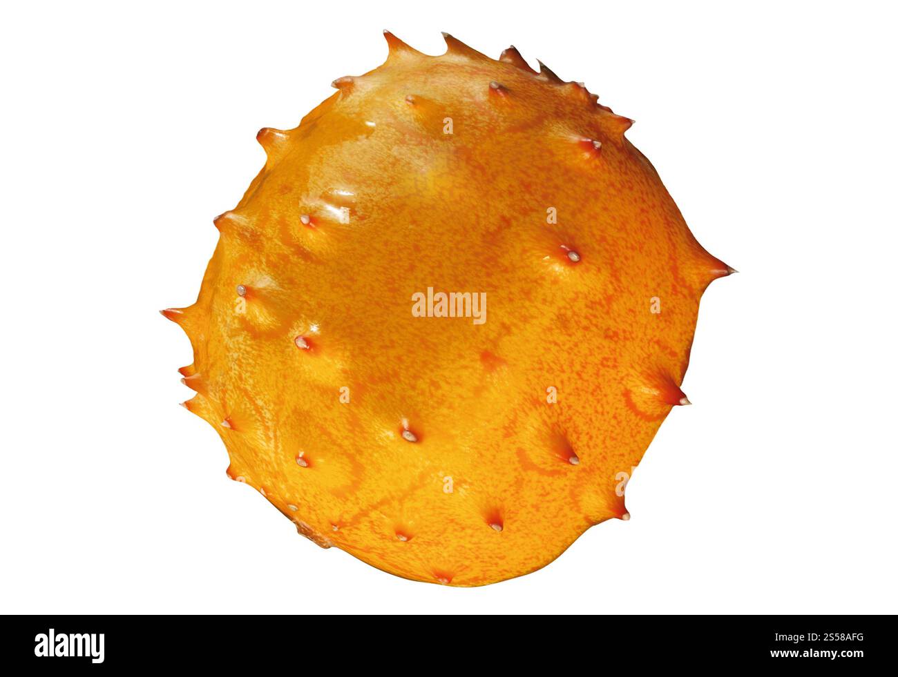 Kiwano melano fruit exotic hi-res stock photography and images - Alamy