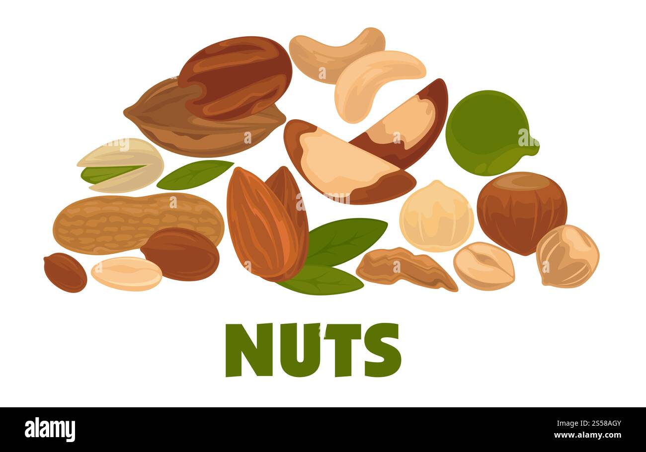 Delicious nutritious nuts advertisement banner with italic sign inside ...