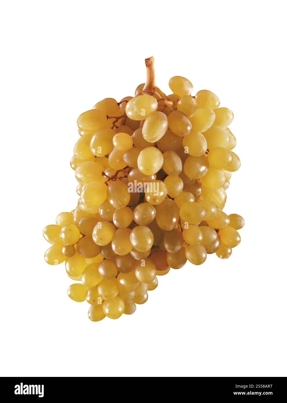 Black grape on white Cut Out Stock Images & Pictures - Alamy