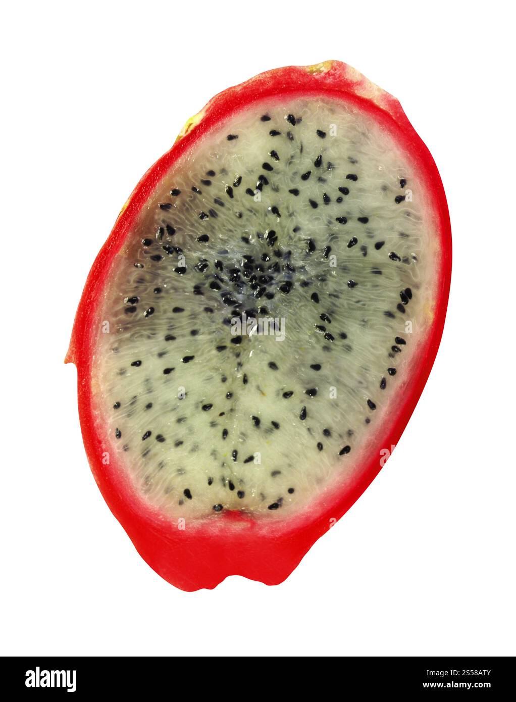 Dragons plant Cut Out Stock Images & Pictures - Alamy