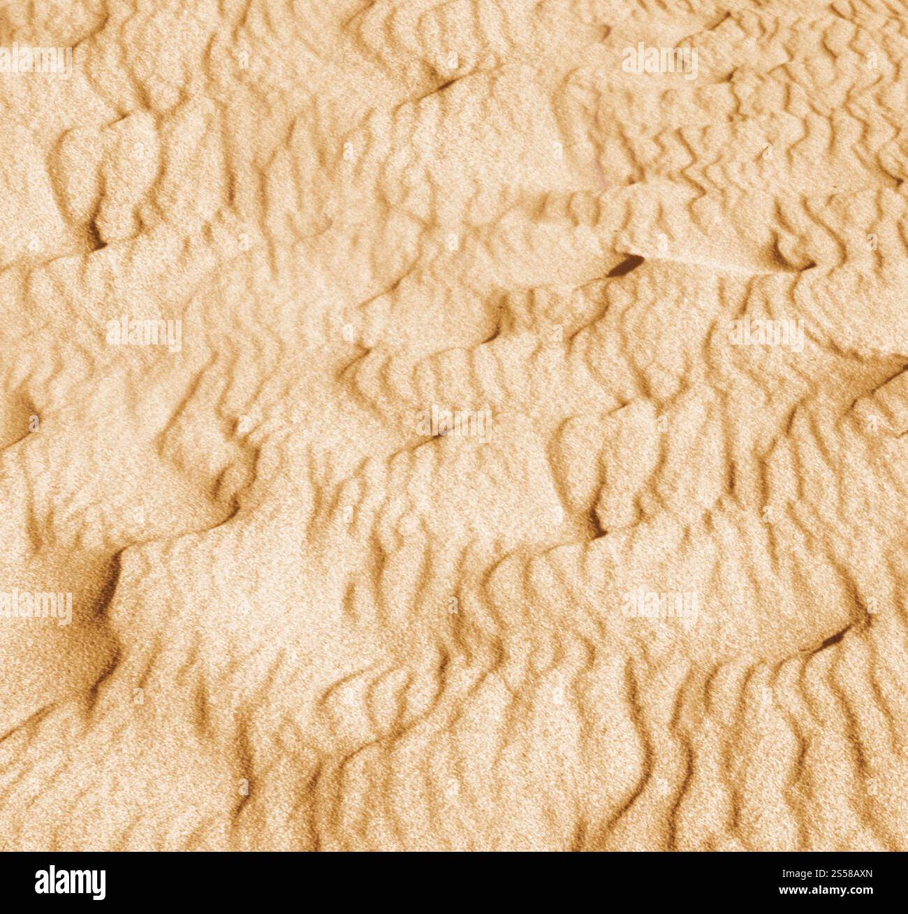 Dry sand textures hi-res stock photography and images - Alamy