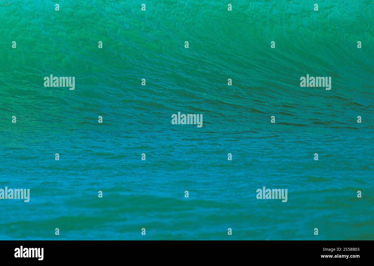 The green wave hi-res stock photography and images - Alamy